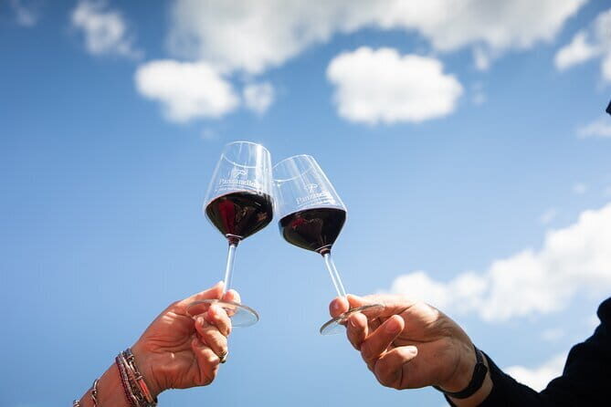 Triumph of Flavors, Winery Tour, Organic Wines in Panzano in Chianti - Experience the Triumph of Flavors: Winery Tour and Organic Wines in Panzano in Chianti