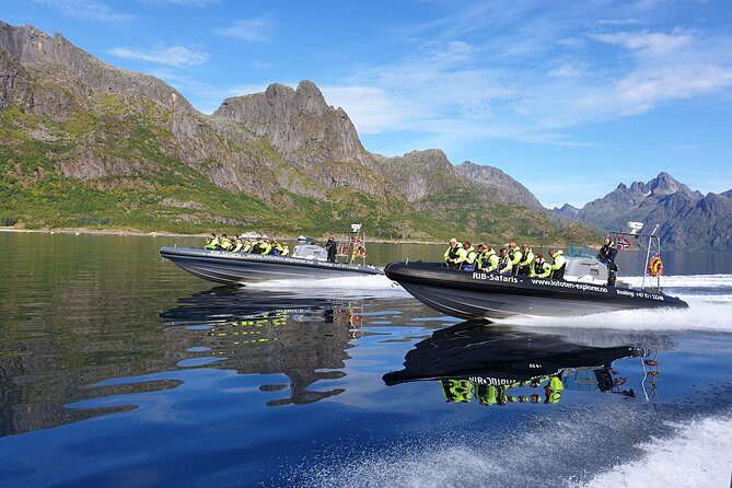Trollfjord and Sea Eagle Safari Tour from Svolvaer - Practical Details: What to Know Before You Book