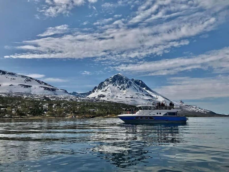 Tromsø: 2-Hour Island Tour Cruise - Key Points