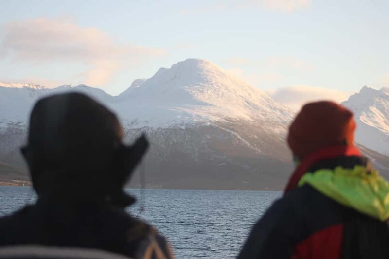 Tromsø: 2-Hour Island Tour Cruise - Final Thoughts