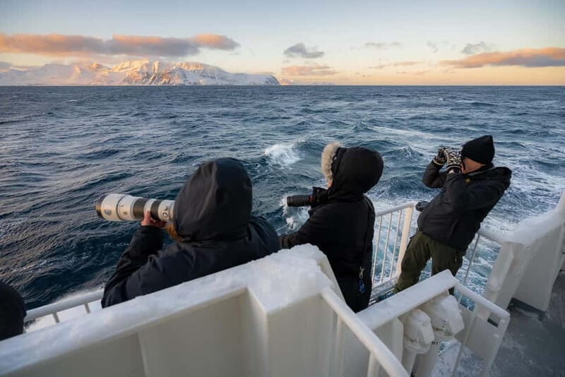 Tromsø: 24hr Northern Lights & Whale Watching Cruise - Tromsø: 24hr Northern Lights & Whale Watching Cruise — A Complete Review