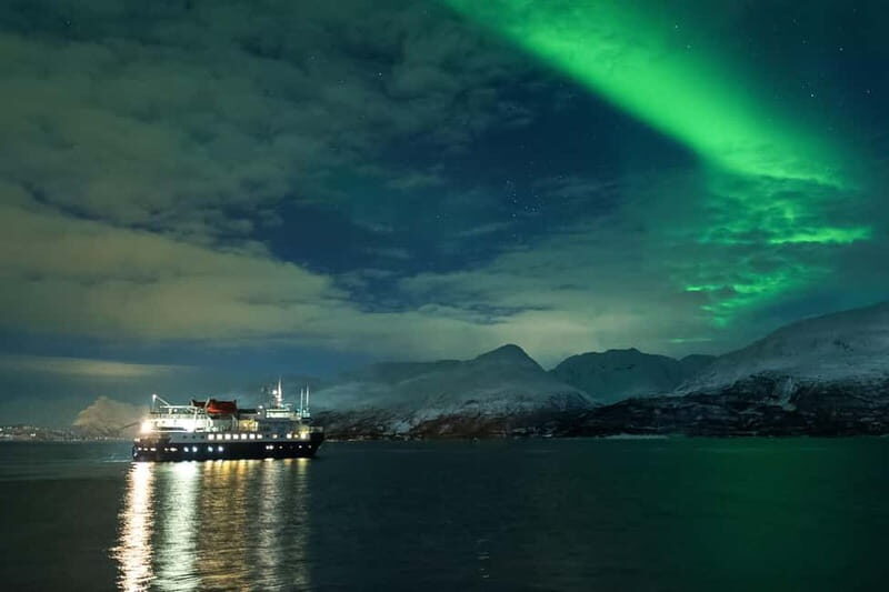Tromsø: 24hr Northern Lights & Whale Watching Cruise - Key Points