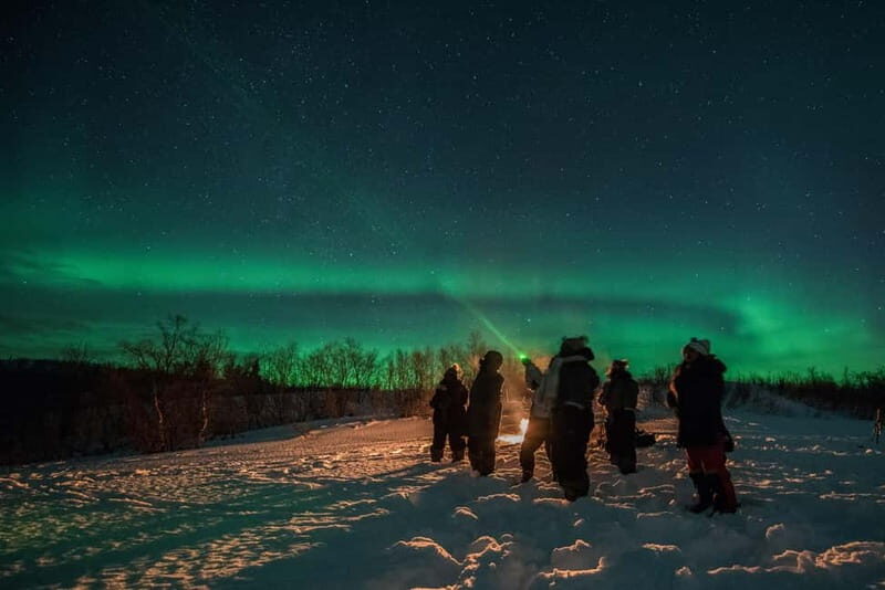 Tromsø: Adult Only Aurora hunt with Citizen Science - Analyzing the Value and Pricing