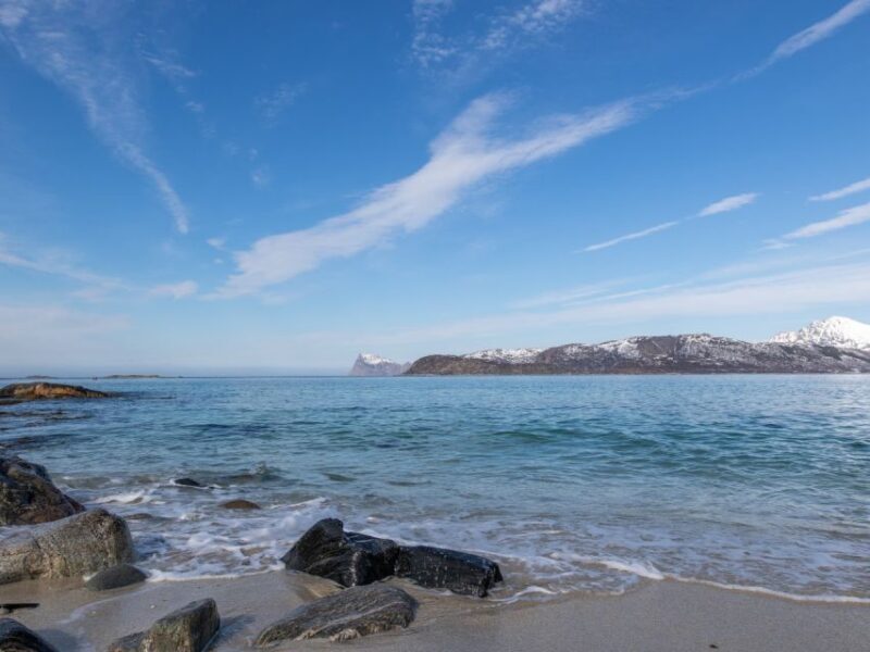 Tromso: All-Inclusive Arctic Fjords and Sommarøy Scenic Tour - Key Points