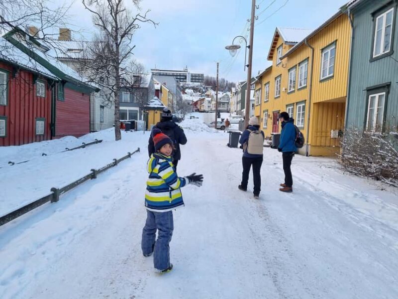 Tromsø: Arctic Cathedral and Tromsø Treasures walking tour - What’s Included and What Not