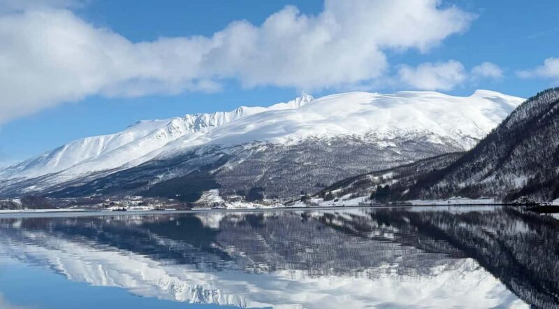 Tromsø: Arctic Fjord Cruise & Fishing Experience - Fishing & Fish Soup
