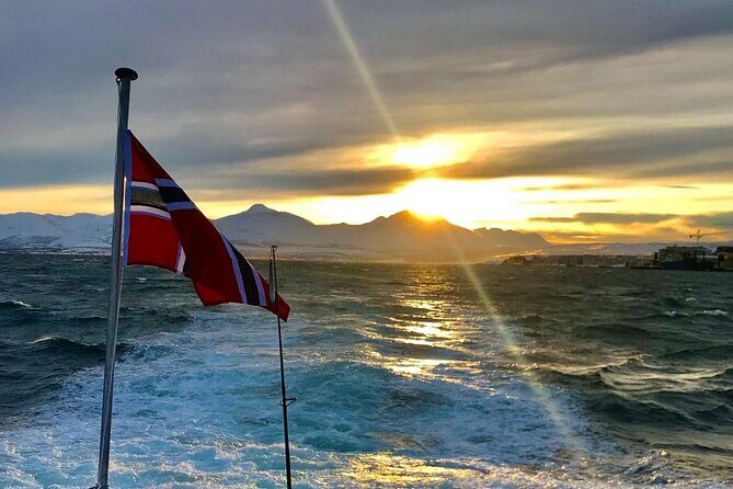 Tromsø: Arctic Fjord Cruise & Fishing Experience - Who This Tour Is Best For