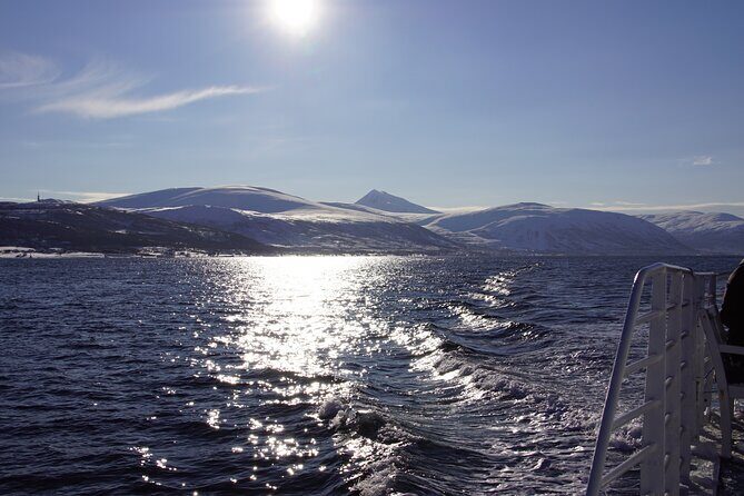 Tromsø: Arctic Fjord Cruise & Fishing Experience - Who Should Book This Tour?