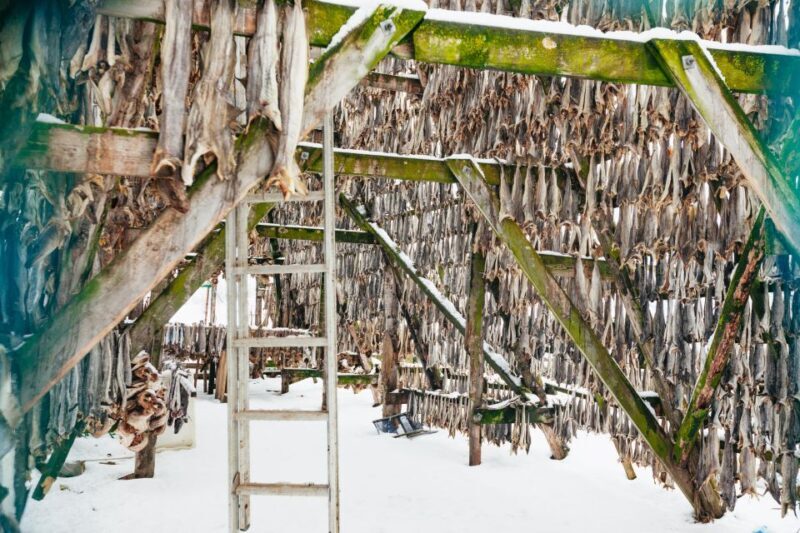 Tromsø: Arctic Fjord Cruise With Stop On Land At Fish Racks - Exploring Tromsøs Arctic Fjord in Depth