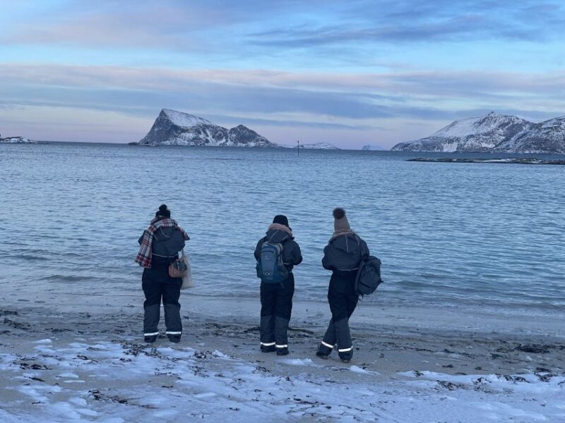 Tromsø: Arctic fjord sightseeing, Reindeer feeding and lunch - FAQs