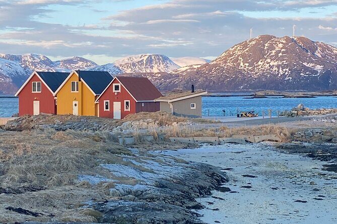 Tromsø Arctic Fjords Adventure Tour with Local Lunch - Key Points