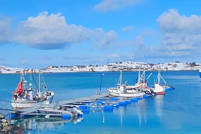 Tromsø Arctic Fjords Adventure Tour with Local Lunch - Who Should Take This Tour?