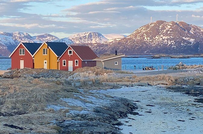 Tromsø Arctic Fjords Adventure Tour with Local Lunch - The Sum Up