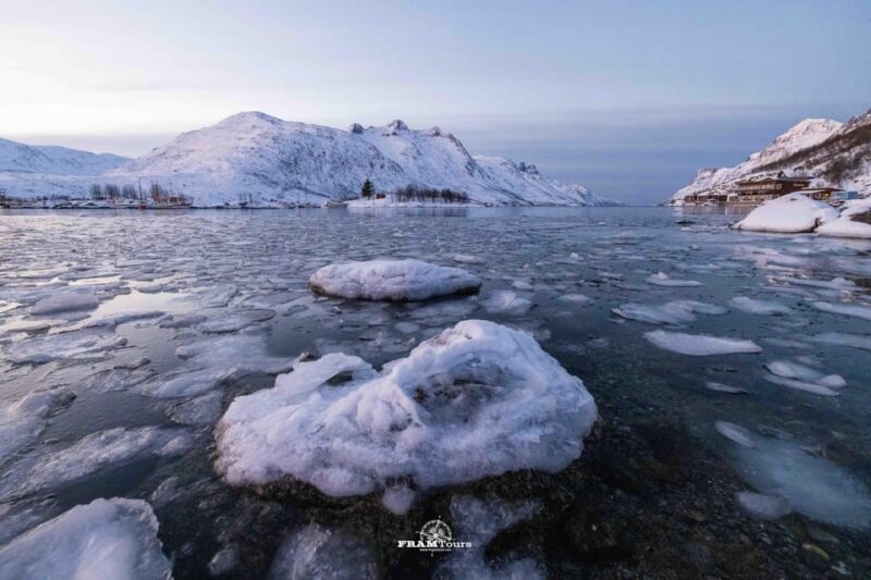 Tromsø: Arctic Fjords Tour to Kvaløya with Panoramic Lunch - Key Points