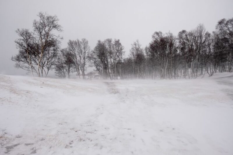 Tromsø: Arctic Landscape and Fjord Tour with Snacks - The Price and Overall Value