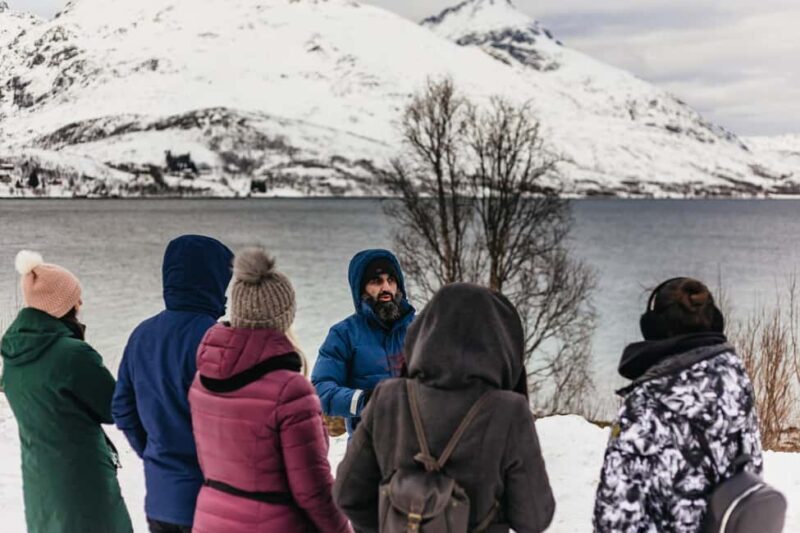 Tromsø: Arctic Landscape and Fjord Tour with Snacks - Who Will Love This Tour?