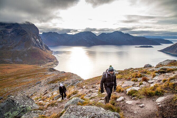 Tromsø: Arctic Landscapes Hiking / Snowshoeing Tour in the wild - FAQ