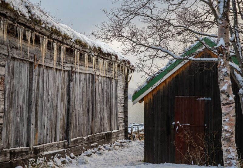 Tromsø: Arctic Nature Roadtrip with Photos & Scenic Lunch - Key Points