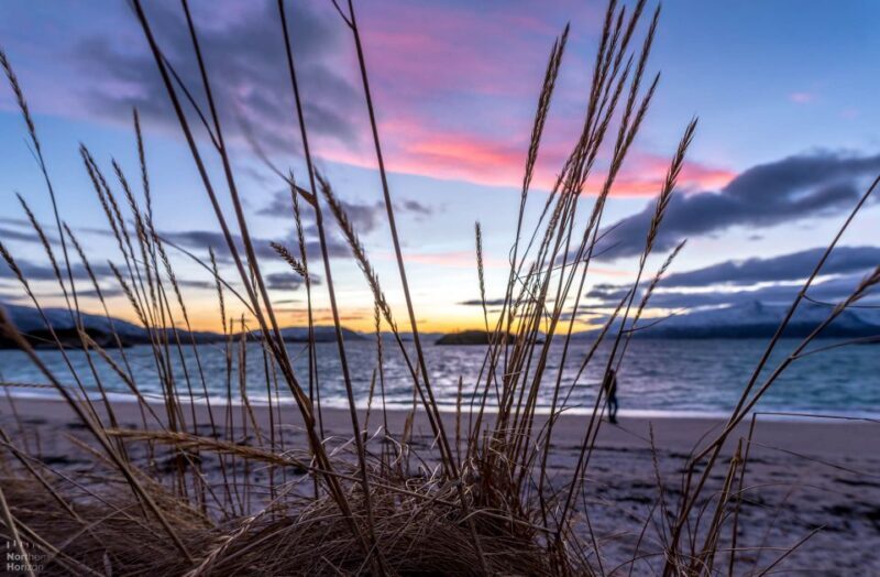 Tromsø: Arctic Nature Roadtrip with Photos & Scenic Lunch - An In-Depth Look at the Arctic Roadtrip Experience