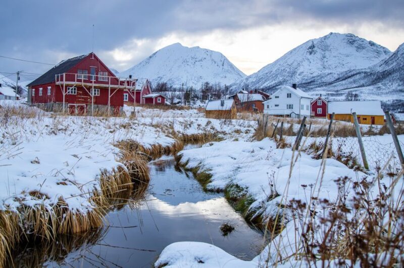 Tromsø: Arctic Nature Roadtrip with Photos & Scenic Lunch - FAQ