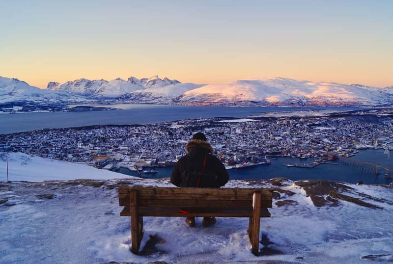 Tromso: Arctic Panorama Cable Car Excursion - Who Should Consider This Tour?