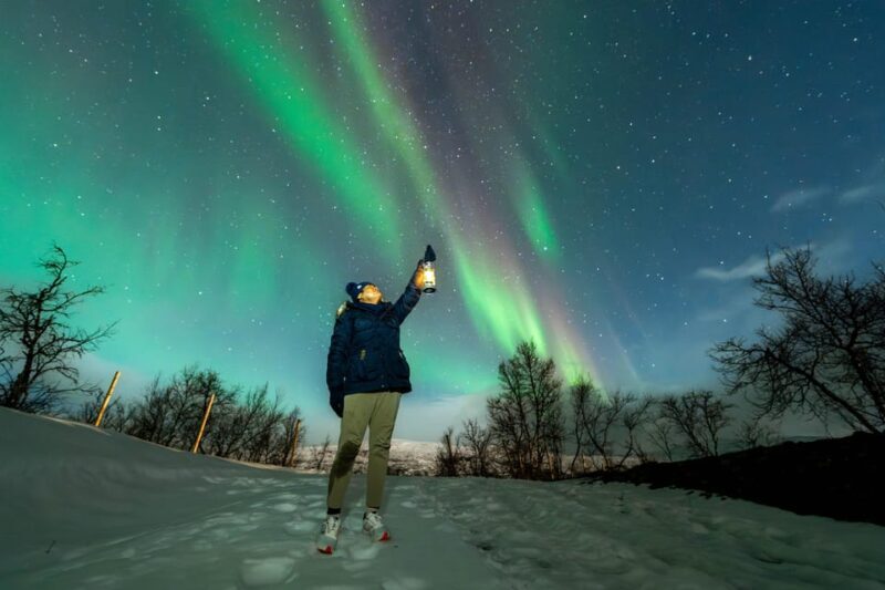 Tromsø: Aurora Borealis, Campfire, Hot Meal, Arctic Tour - Key Points
