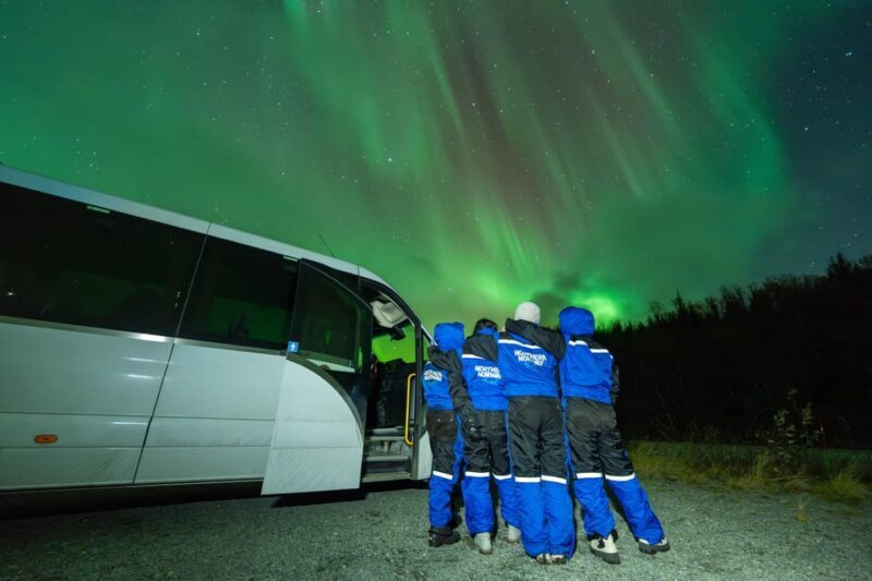 Tromsø: Aurora Borealis, Campfire, Hot Meal, Arctic Tour - Deep Dive into the Itinerary