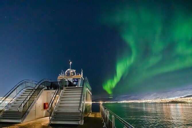 Tromso Aurora Cruise with 3-Course Dinner - Review of the Tromso Aurora Cruise with 3-Course Dinner