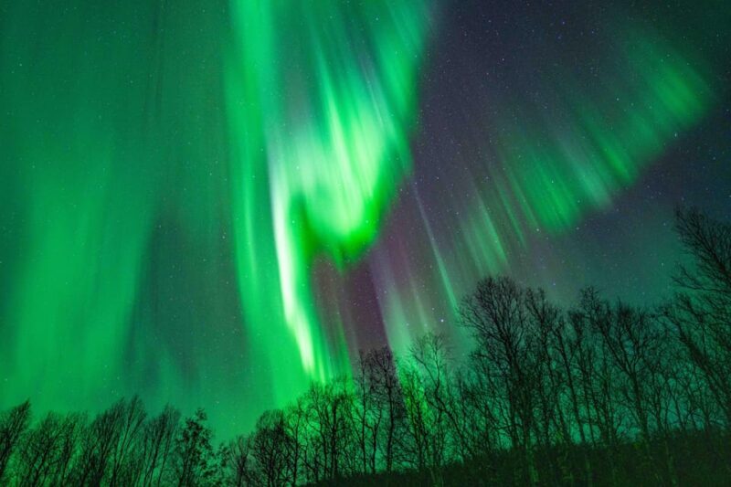 Tromsø: Aurora Tour with Photos, Campfire and Arctic Food - The Bottom Line: Is it worth it?