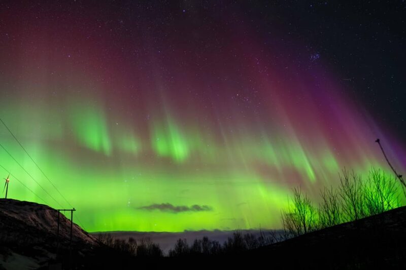 Tromsø: Aurora Tour with Photos, Campfire and Arctic Food - Final thoughts