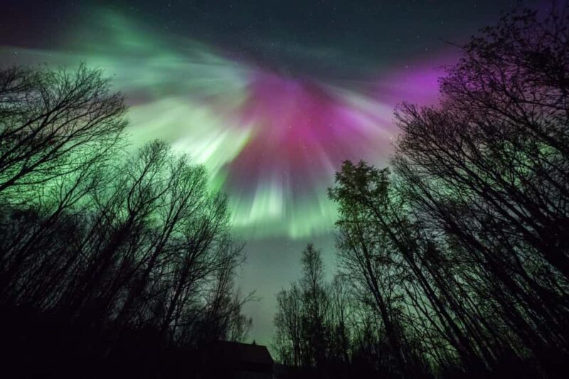 Tromsø: Big Bus Northern Lights Tour with Free Photos - The Sum Up: Who Is This Tour Perfect For?