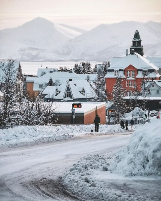 Tromsø: Capture the most Photogenic Spots with a Local - Exploring Tromsø with a Local: An In-Depth Review