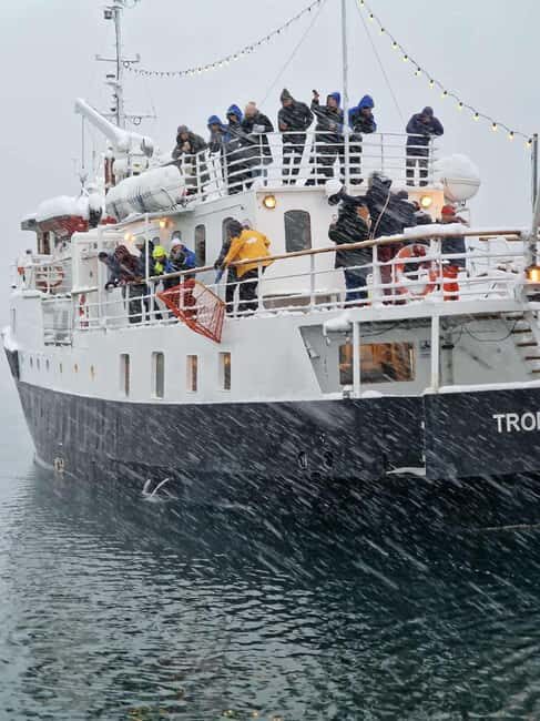 Tromsø: Classic arctic fjord cruise with lite lunch - Deep Dive into the Experience
