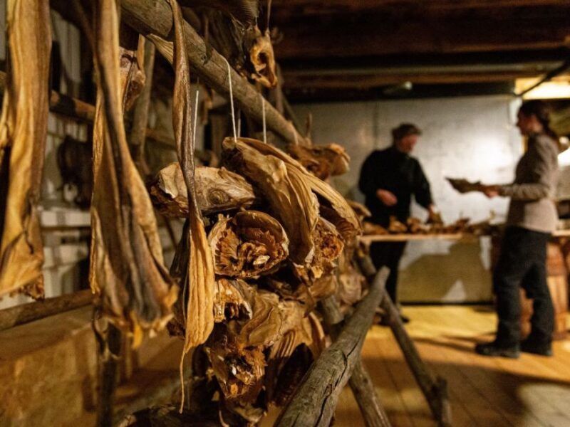 Tromso: Cod-Tasting Tour with Full Steam Museum Entry - What Past Travelers Say