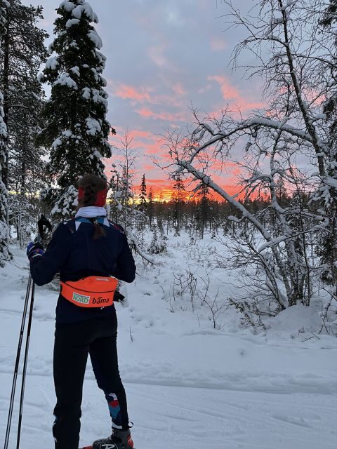 Tromsø: Cross Country Guided Skiing Course - What Guests Are Saying