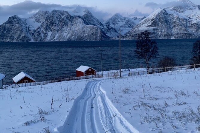 Tromsø Cross-Country Ski Adventure - Who Will Love This Tour?