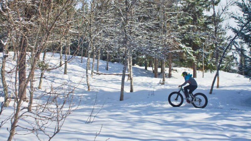 Tromsø: Electric fatbike trip on winter paths - Key Points