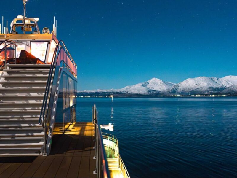 Tromsø: Electric Northern Lights Cruise - Key Points