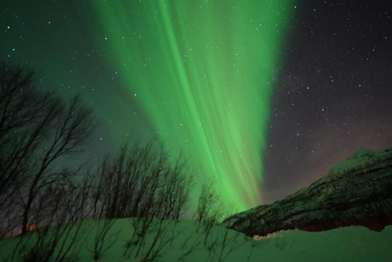 Tromsø: English/Spanish Aurora Pathfinder Tour with Photos - Key Points