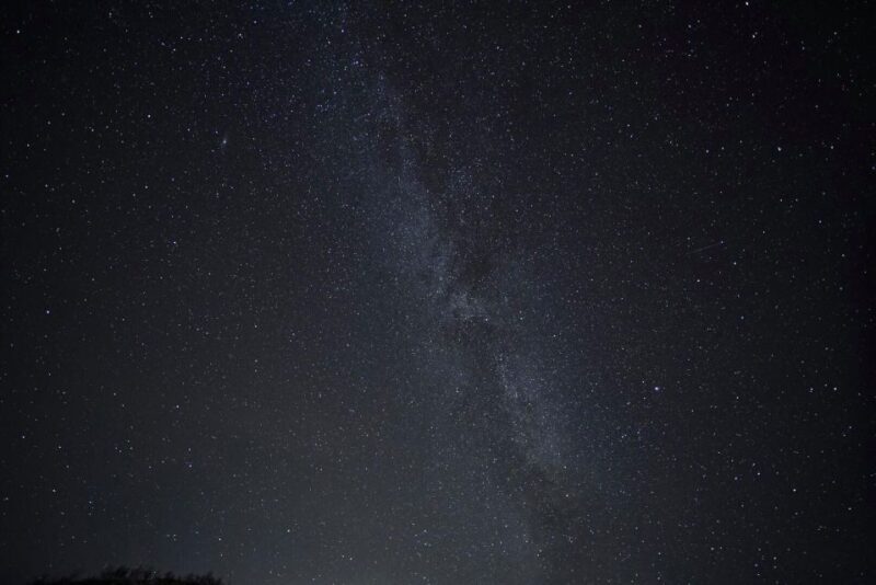 Tromsø: Evening Aurora Cruise (dinner optional) - Food and Warmth: Snacks and Suitability