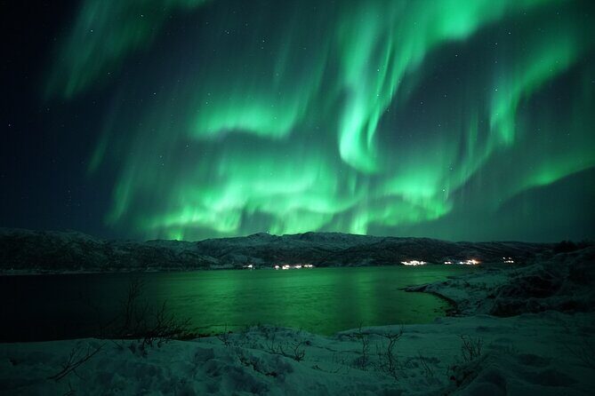 Tromsø: Evening Cruise with Northern Lights Opportunity - An In-Depth Look at the Tour