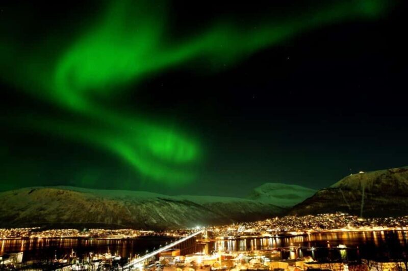 Tromsø: Evening dinner cruise with possible northern lights - Who Should Consider This Tour?