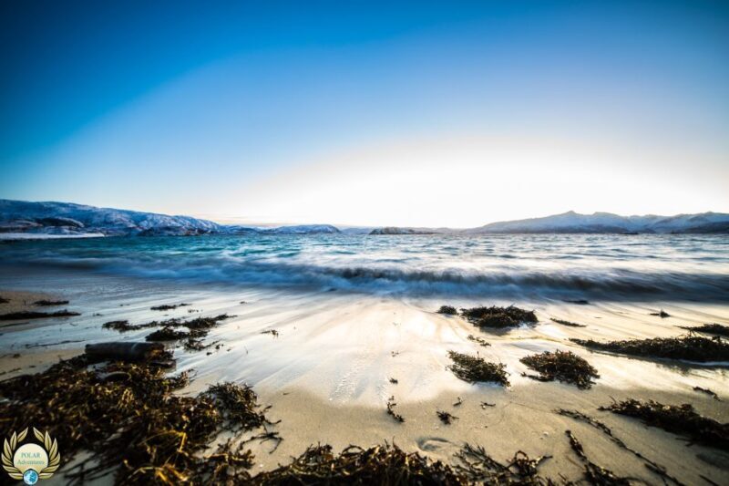 Tromsø: Exclusive Fjord Adventure by Bus - The Experience: From Scenic Stops to Local Stories