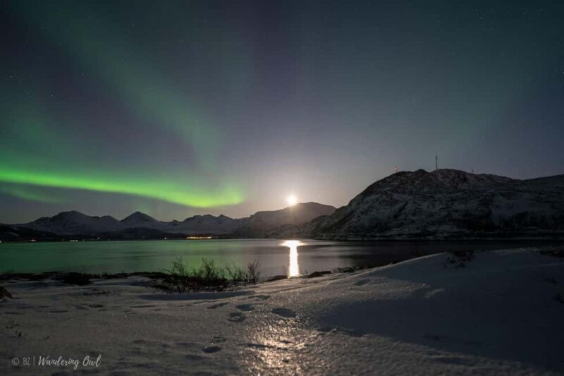 Tromsø: Express Aurora Hunt - What to Expect from the Tromsø Express Aurora Hunt