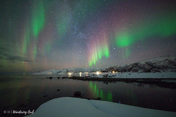 Tromsø: Express Aurora Hunt with Wandering Owl - Key Points