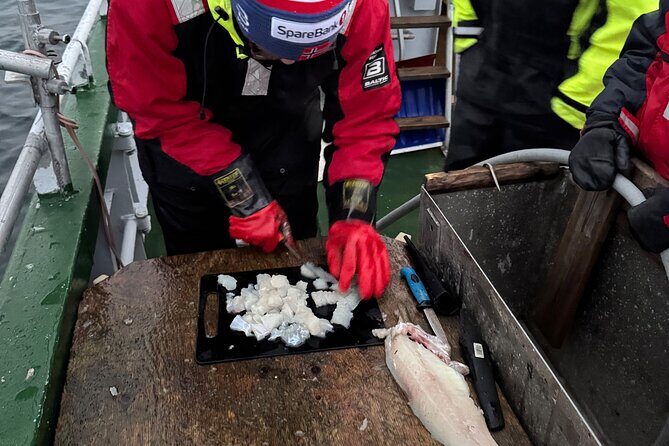 Tromso fishing Sea Safari - Final Thoughts