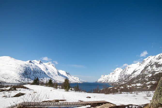 Tromsø: Fjord Adventure Tour with Wildlife and Lunch - Key Points