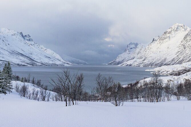 Tromsø: Fjord Adventure Tour with Wildlife and Lunch - An In-Depth Look at the Tromsø Fjord Adventure Tour