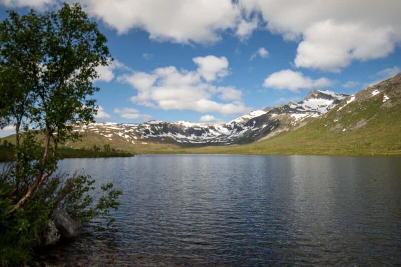 Tromsø: Fjord Adventure with Lunch and Photos - Key Points