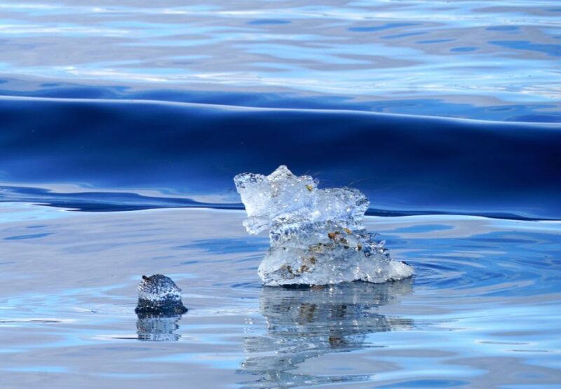 Tromsø: Fjord Cruise by Luxury Yacht - Who Will Love This Tour?